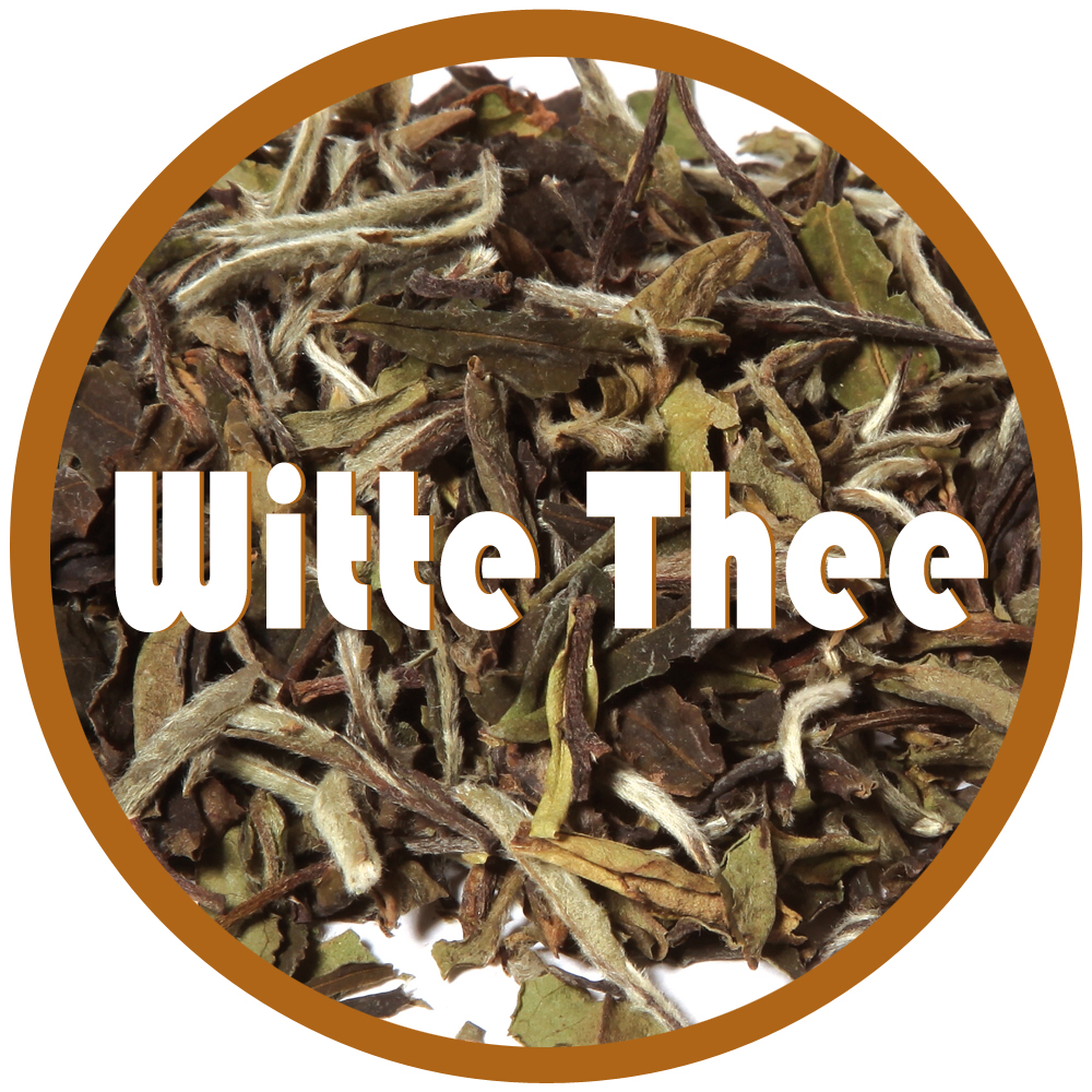 Gusto Witte thee - Gusto Gorinchem